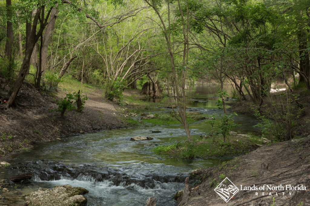 Lands of North Florida Realty | Royal Springs in Live Oak, FL. Suwannee ...
