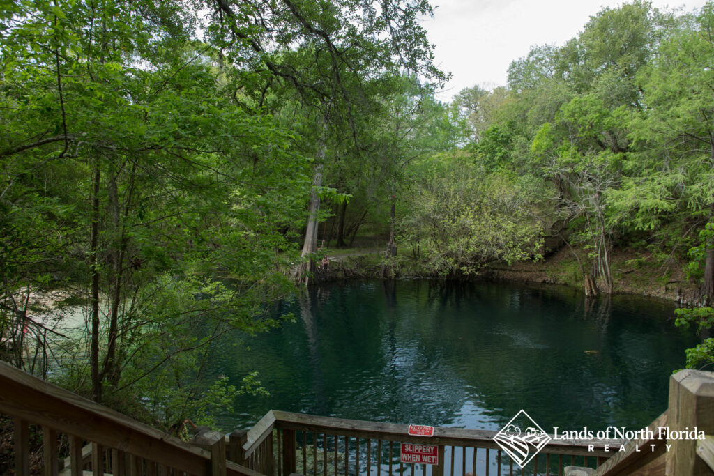 Lands of North Florida Realty | Royal Springs in Live Oak, FL. Suwannee ...