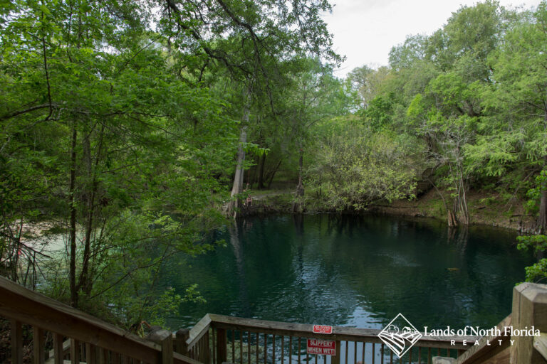 Lands of North Florida Realty | Royal Springs in Live Oak, FL. Suwannee ...