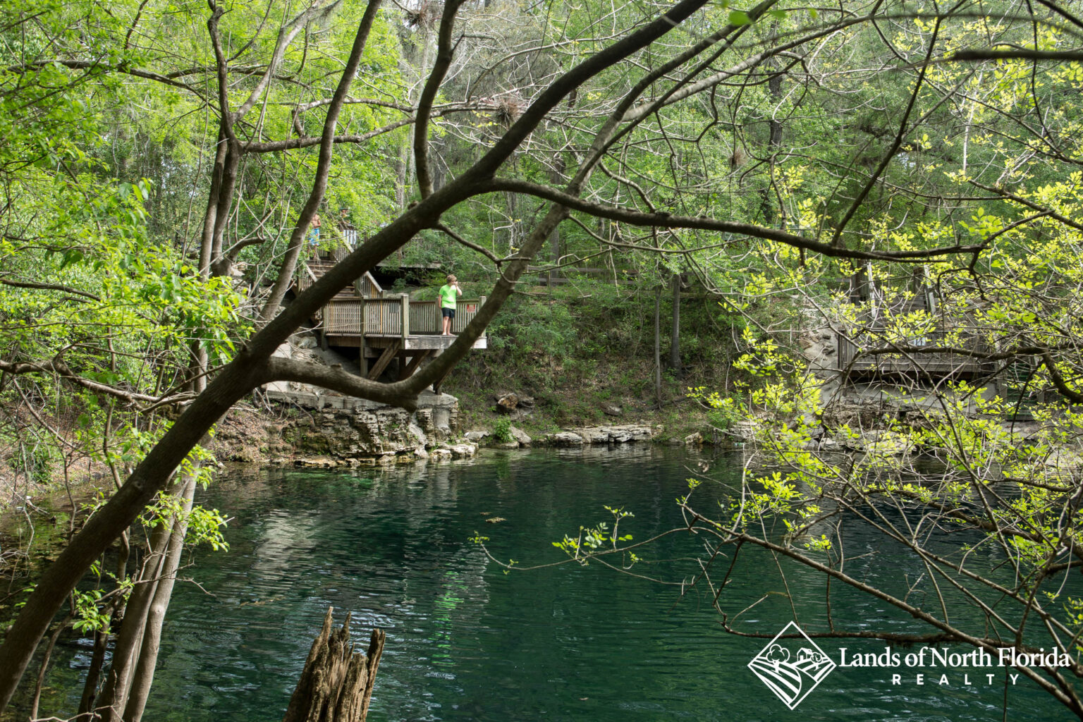 Lands of North Florida Realty | Royal Springs in Live Oak, FL. Suwannee ...