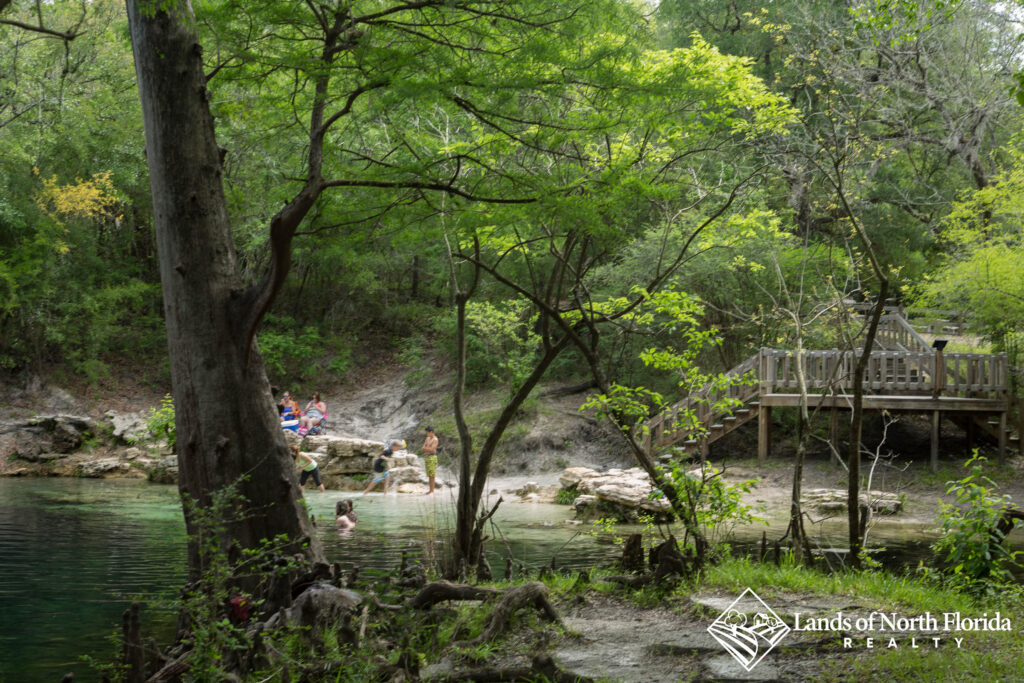 Lands of North Florida Realty | Royal Springs in Live Oak, FL. Suwannee ...