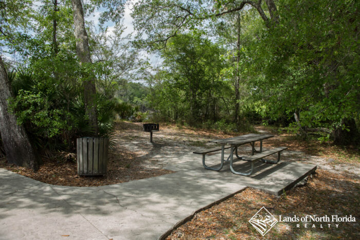 Lands of North Florida Realty | Little River Springs near Branford FL ...