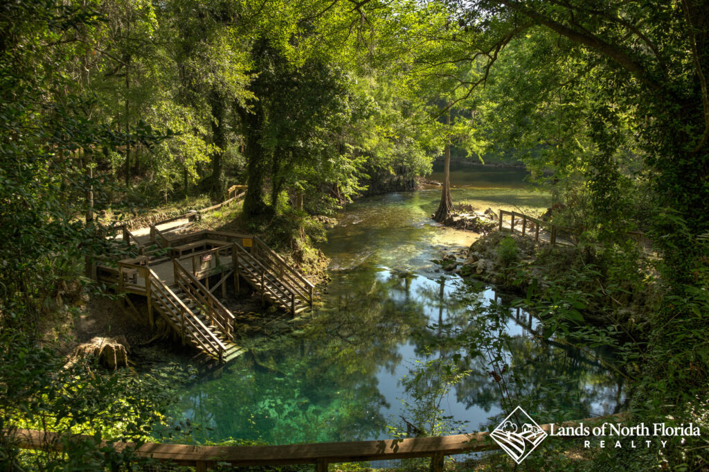 Madison Blue Springs State Park near Lee FL