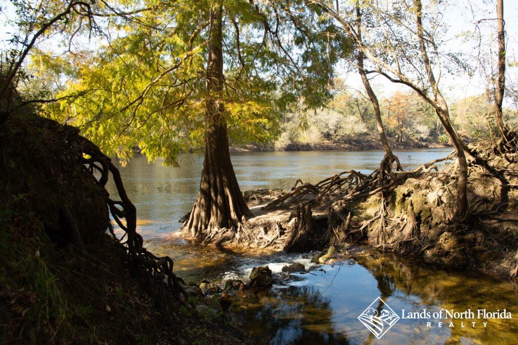 Lands of North Florida Realty | Charles Springs near Dowling Park FL