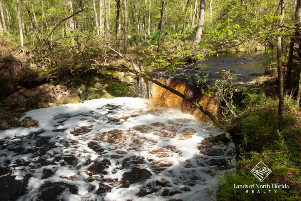 Falling Creek Falls near Lake City, FL