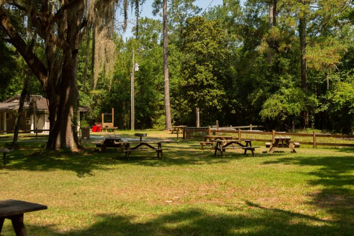 Troy Springs State Park on the Suwannee River - United Country - Lands ...